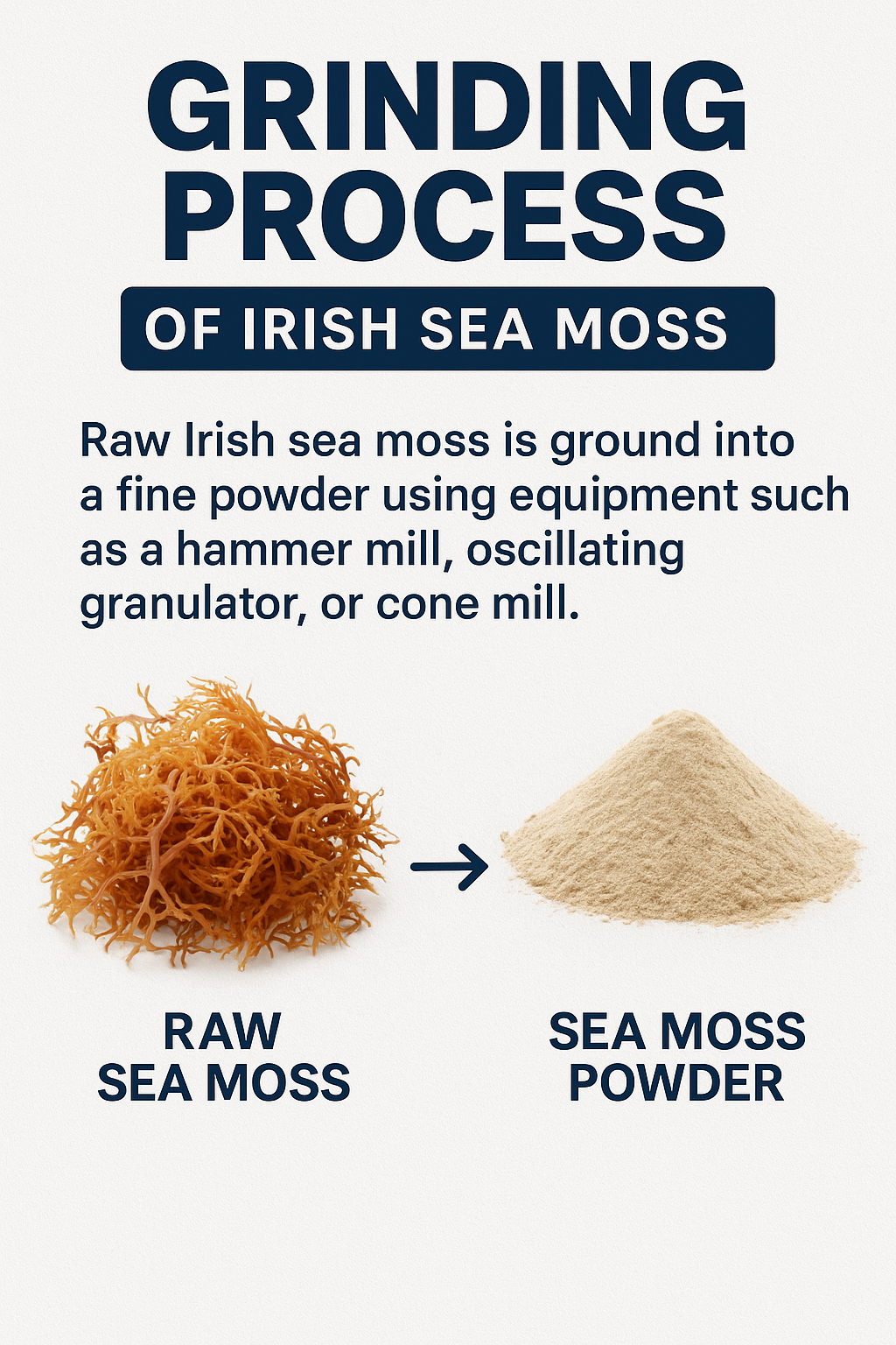 Irish Moss Benefits